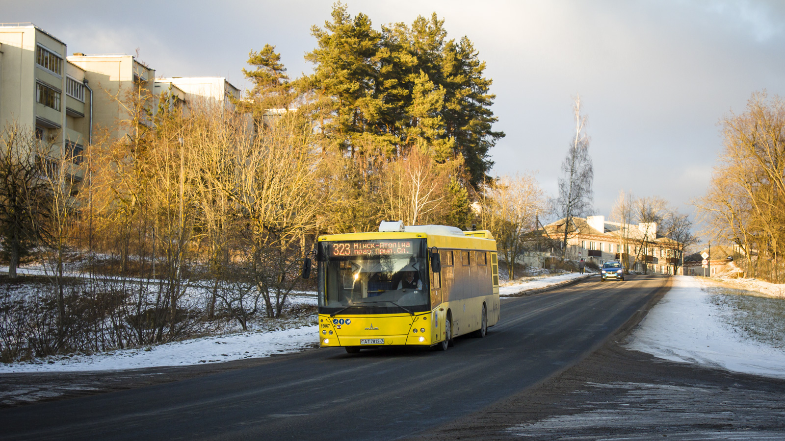 Minsk, MAZ-203.115 # 015067 — Photo — BUSPHOTO