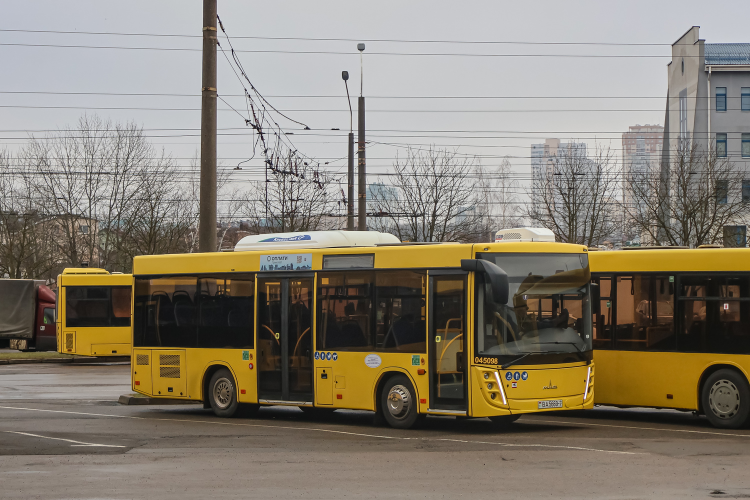 Minsk, MAZ-206.047 # 045098 — Photo — BUSPHOTO