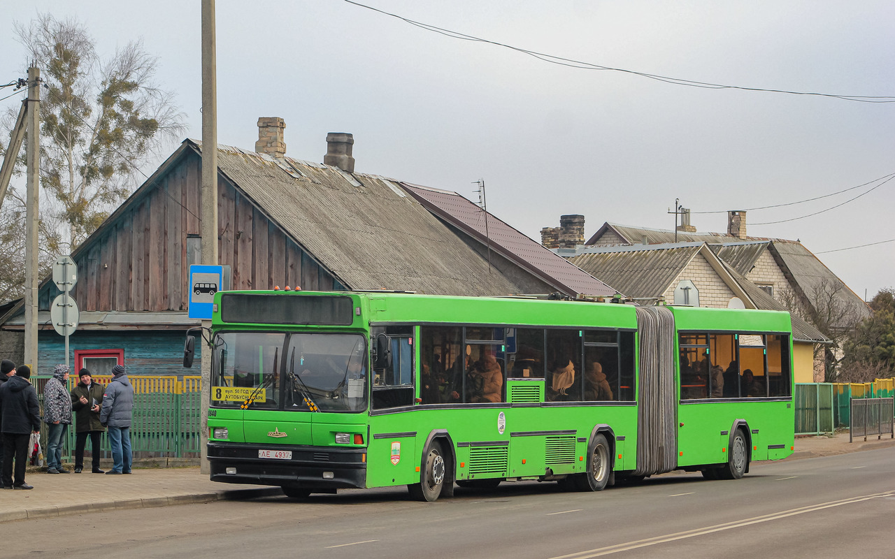 Baranovichi, MAZ-105.060 # 10840 — Photo — BUSPHOTO