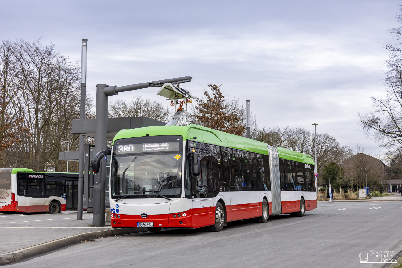 Bochum, BYD eBus B18 # 2481 — Photo — BUSPHOTO