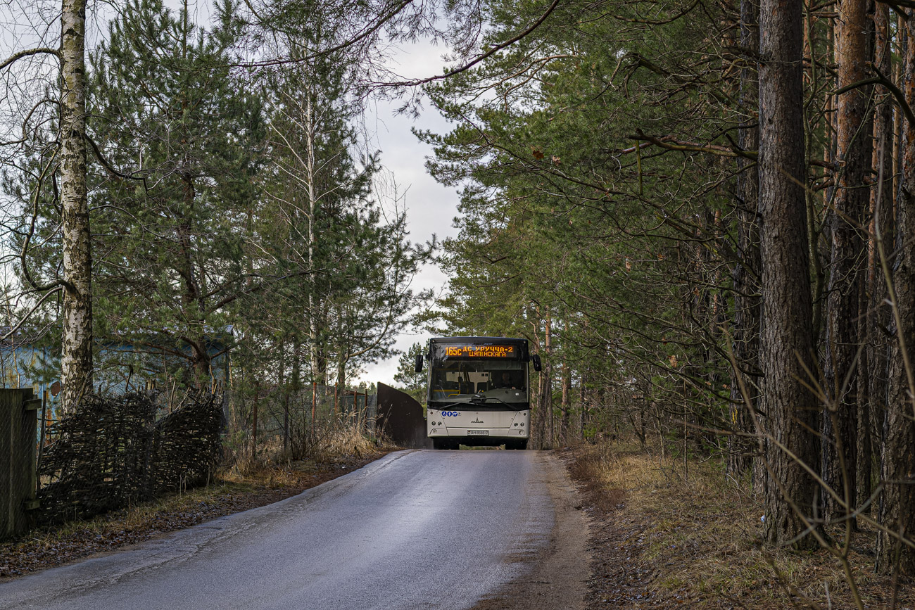 Minsk, MAZ-206.068 # 045070 — Photo — BUSPHOTO