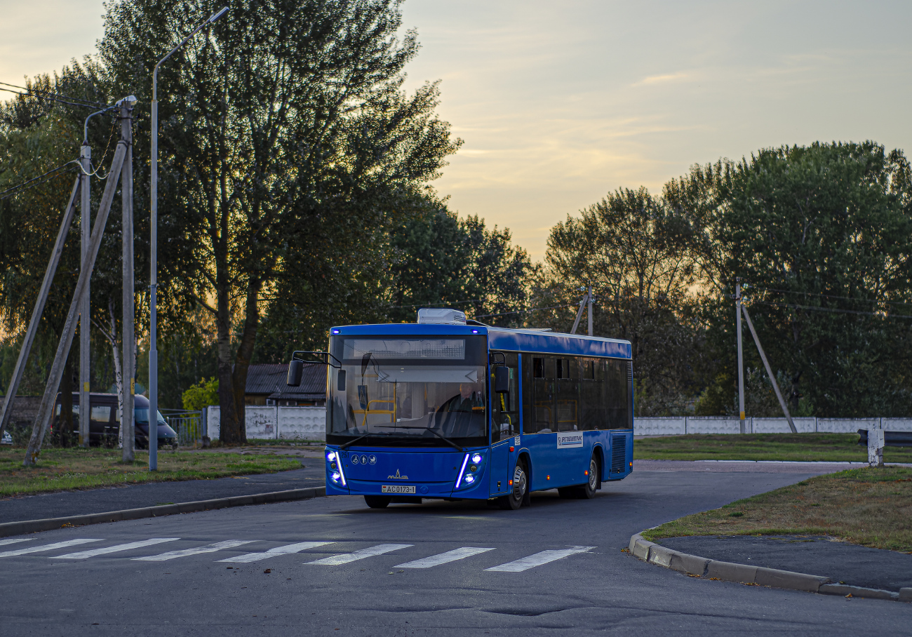 Luninec, MAZ-206.047 # АС 0173-1 — Photo — BUSPHOTO