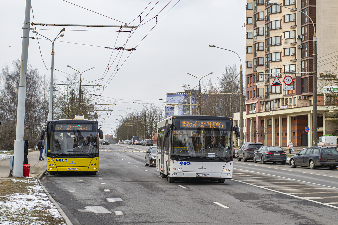 Minsk, MAZ-203.016 # 026204; Minsk, MAZ-206.068 # 045070 — Photo — BUSPHOTO