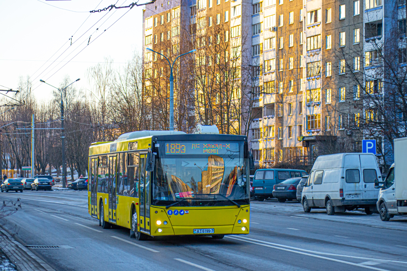 Minsk, MAZ-203.015 # 014923 — Photo — BUSPHOTO