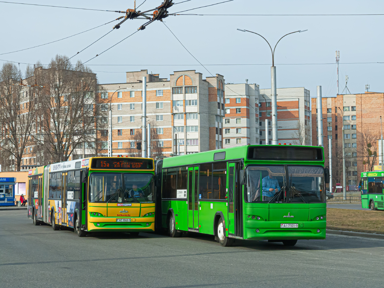 Brest, MAZ-105.465 # 136 — Photo — BUSPHOTO