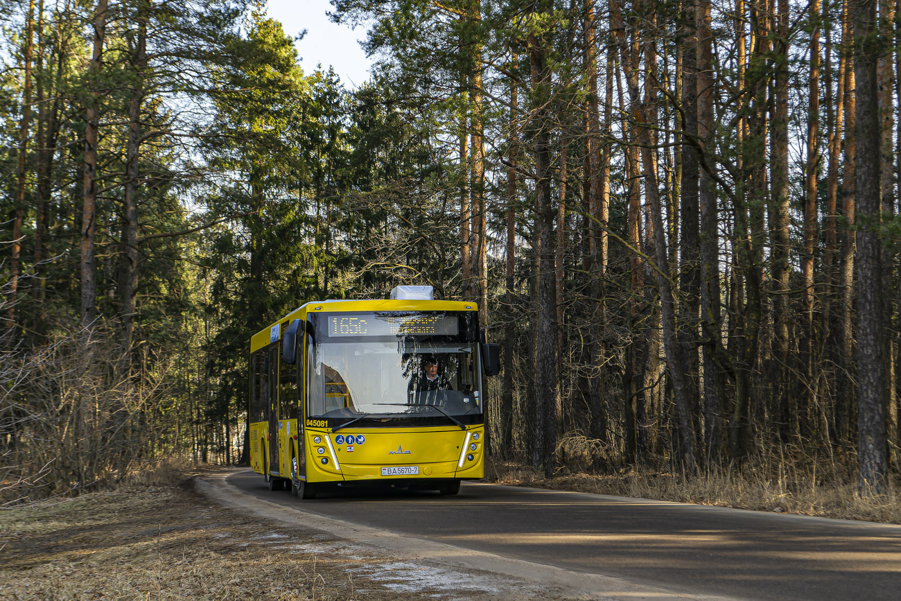 Minsk, MAZ-206.047 # 045081 — Photo — BUSPHOTO