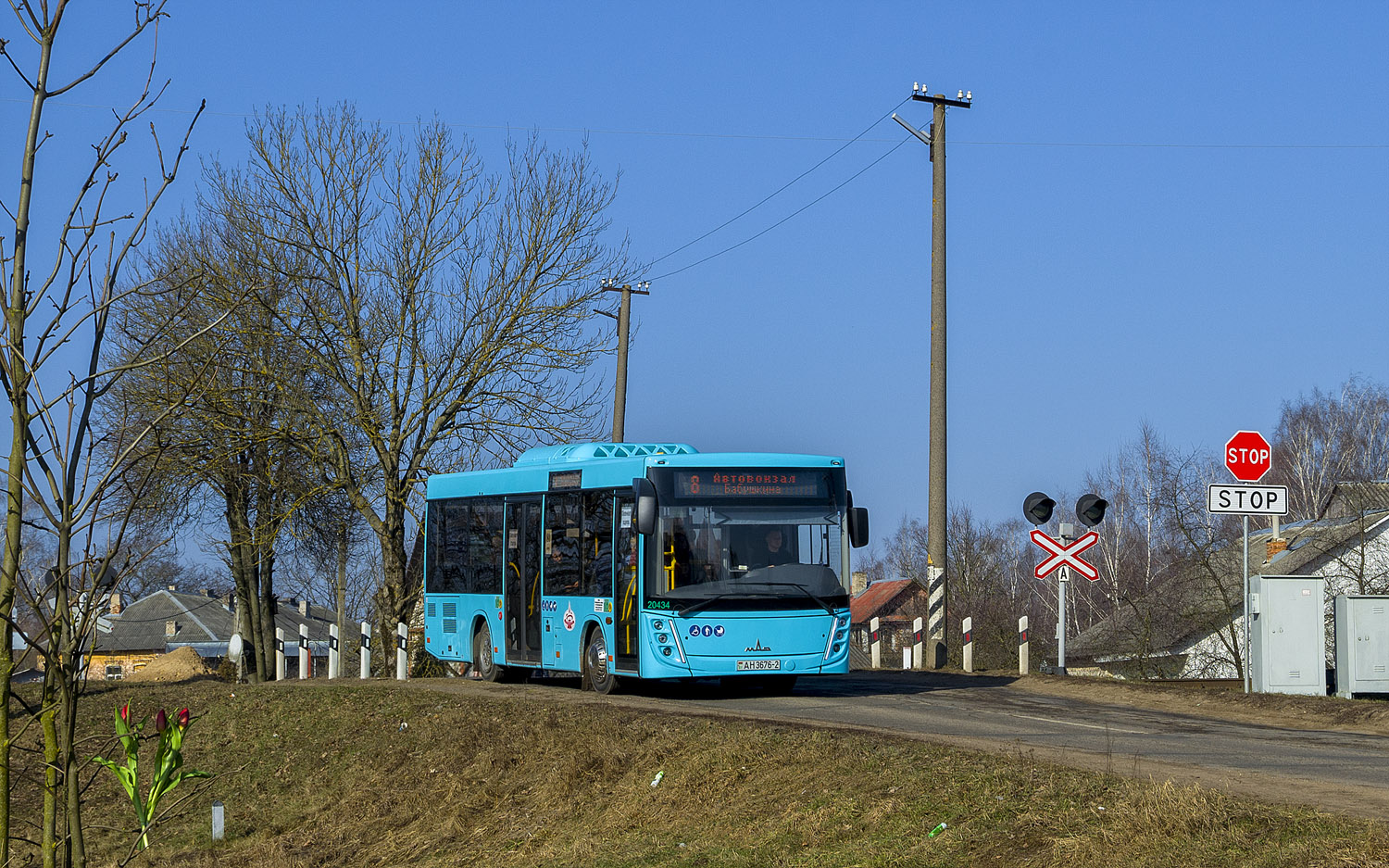 Polotsk, MAZ-206.047 # 020434 — Photo — BUSPHOTO