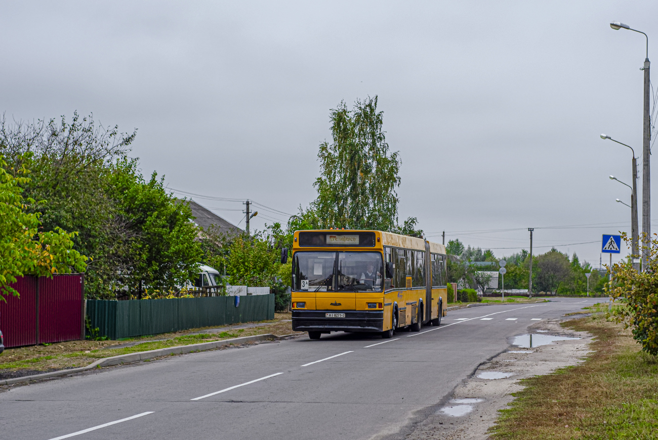 Gomel, MAZ-105.060 # 11509 — Photo — BUSPHOTO