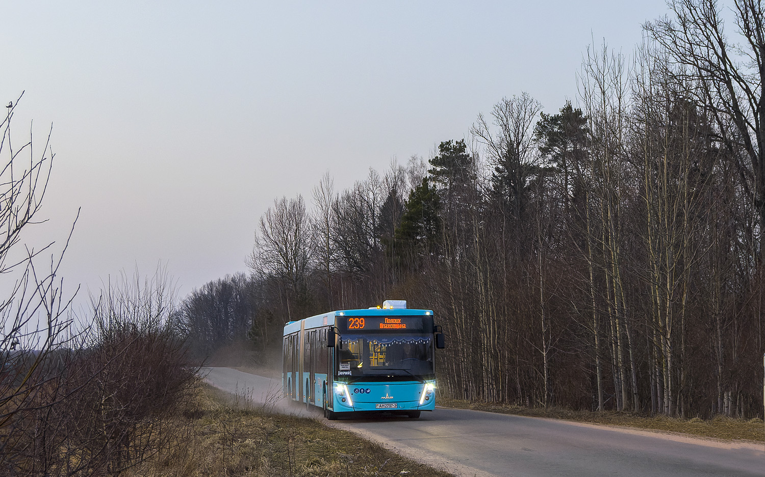 Polotsk, MAZ-216.047 # 020818 — Photo — BUSPHOTO