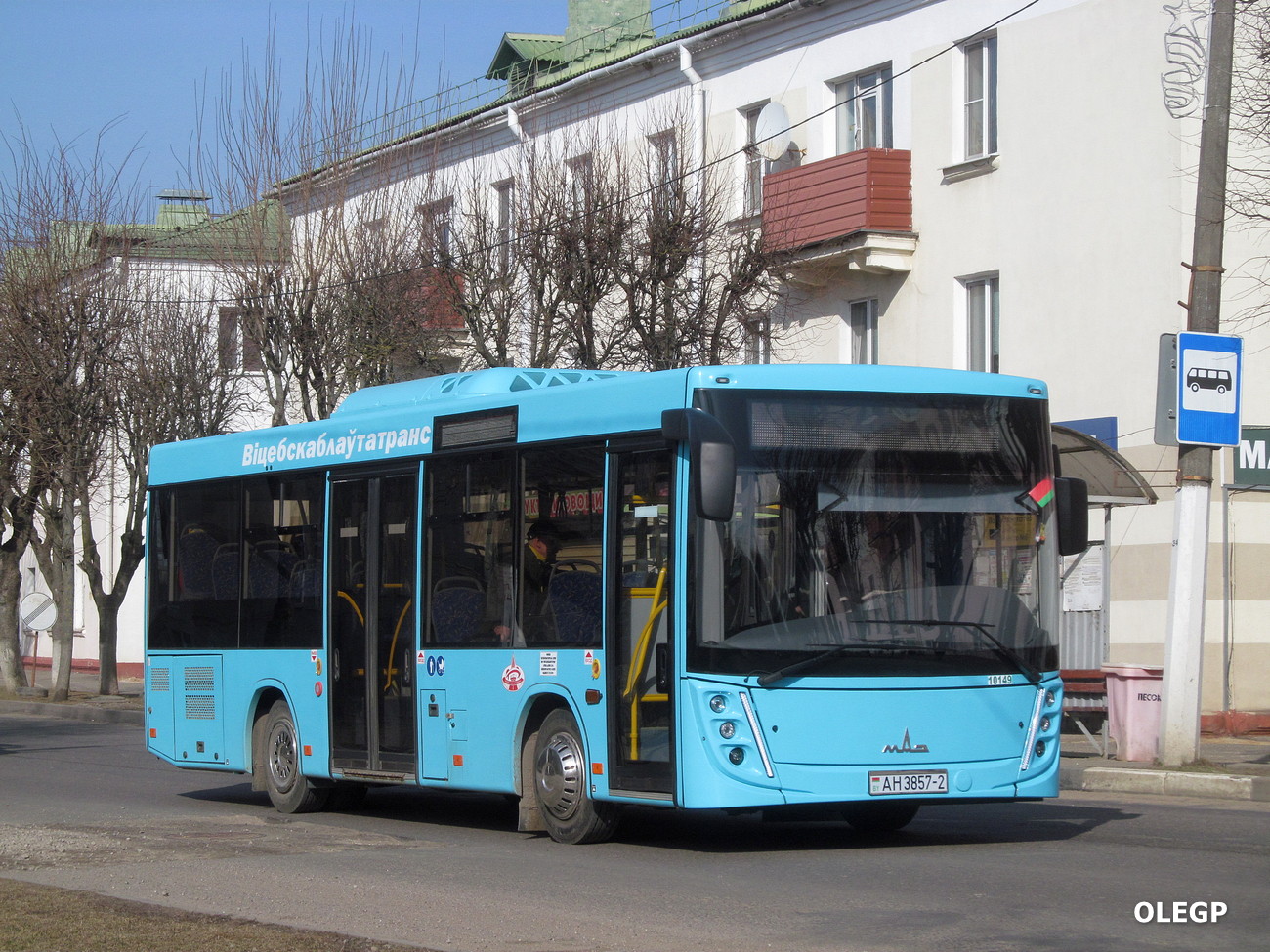Orsha, MAZ-206.047 # 10149 — Photo — BUSPHOTO