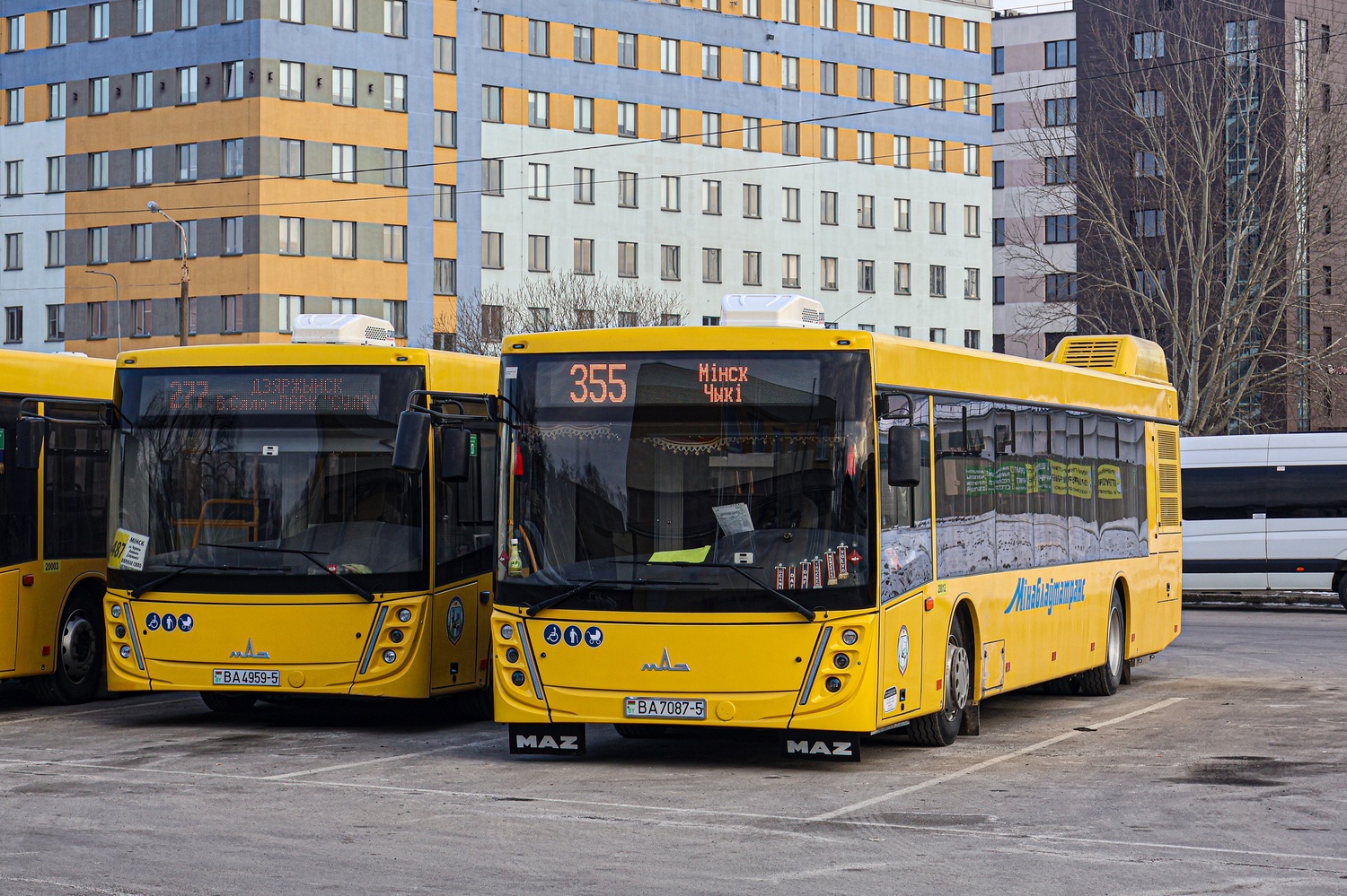 Minsk District, MAZ-203.147 # 20012 — Photo — BUSPHOTO