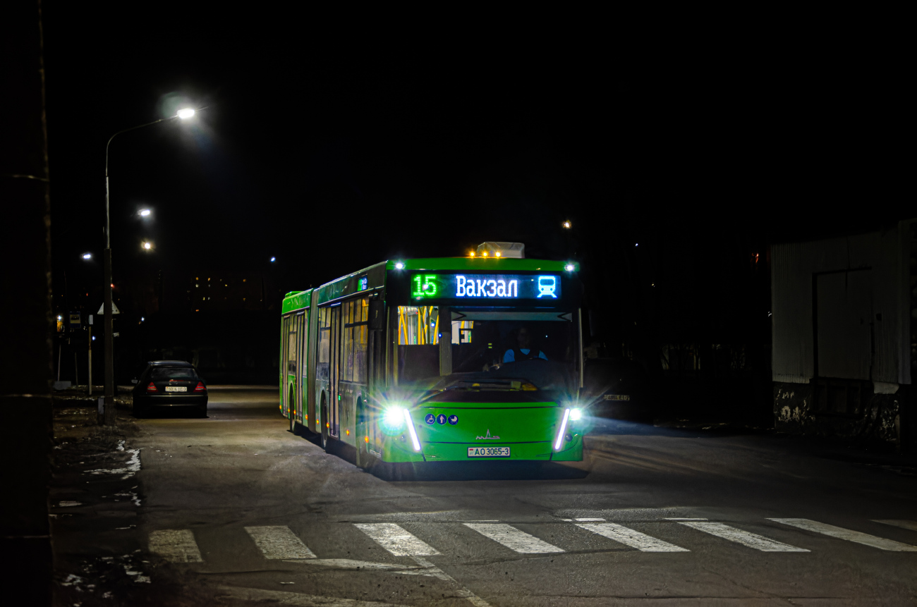 Gomel, MAZ-216.047 # 26409 — Photo — BUSPHOTO