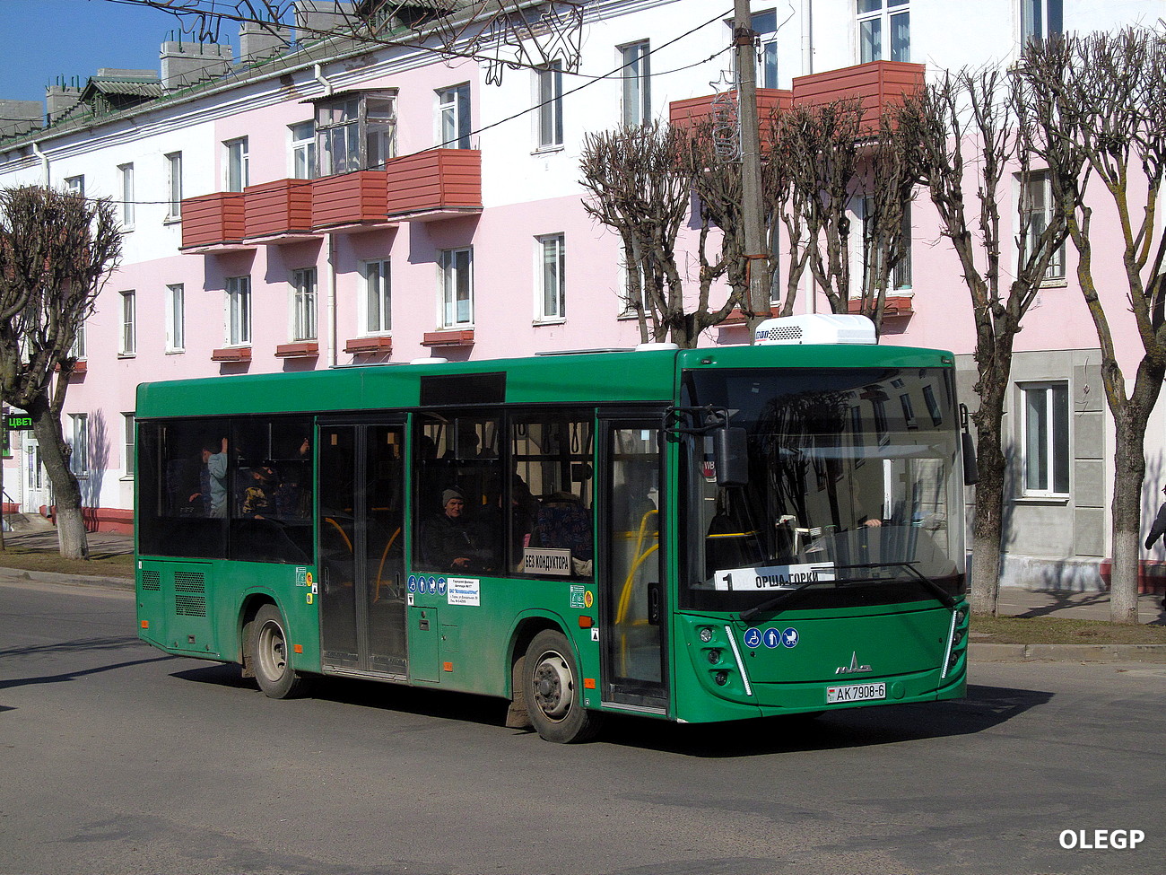 Gorki, MAZ-206.047 # АК 7908-6 — Photo — BUSPHOTO