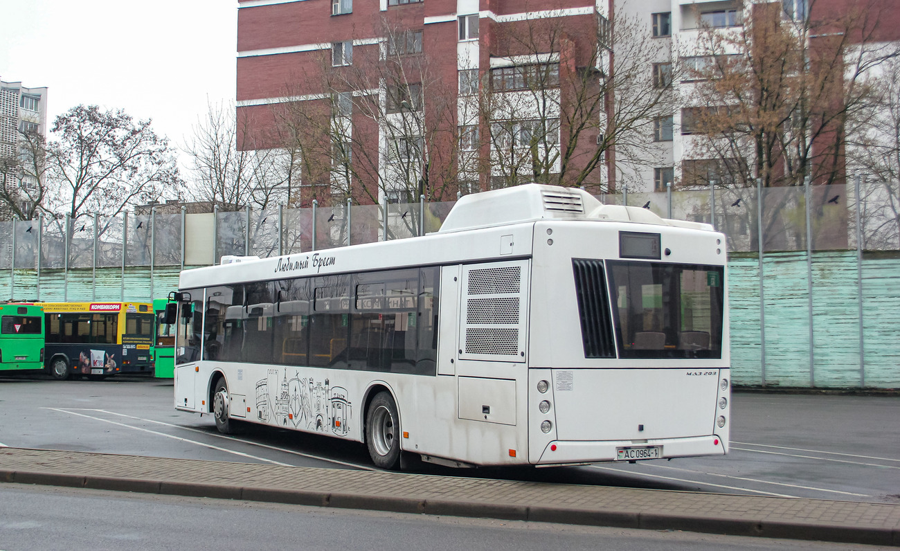 Brest, MAZ-203.047 # 484 — Photo — BUSPHOTO