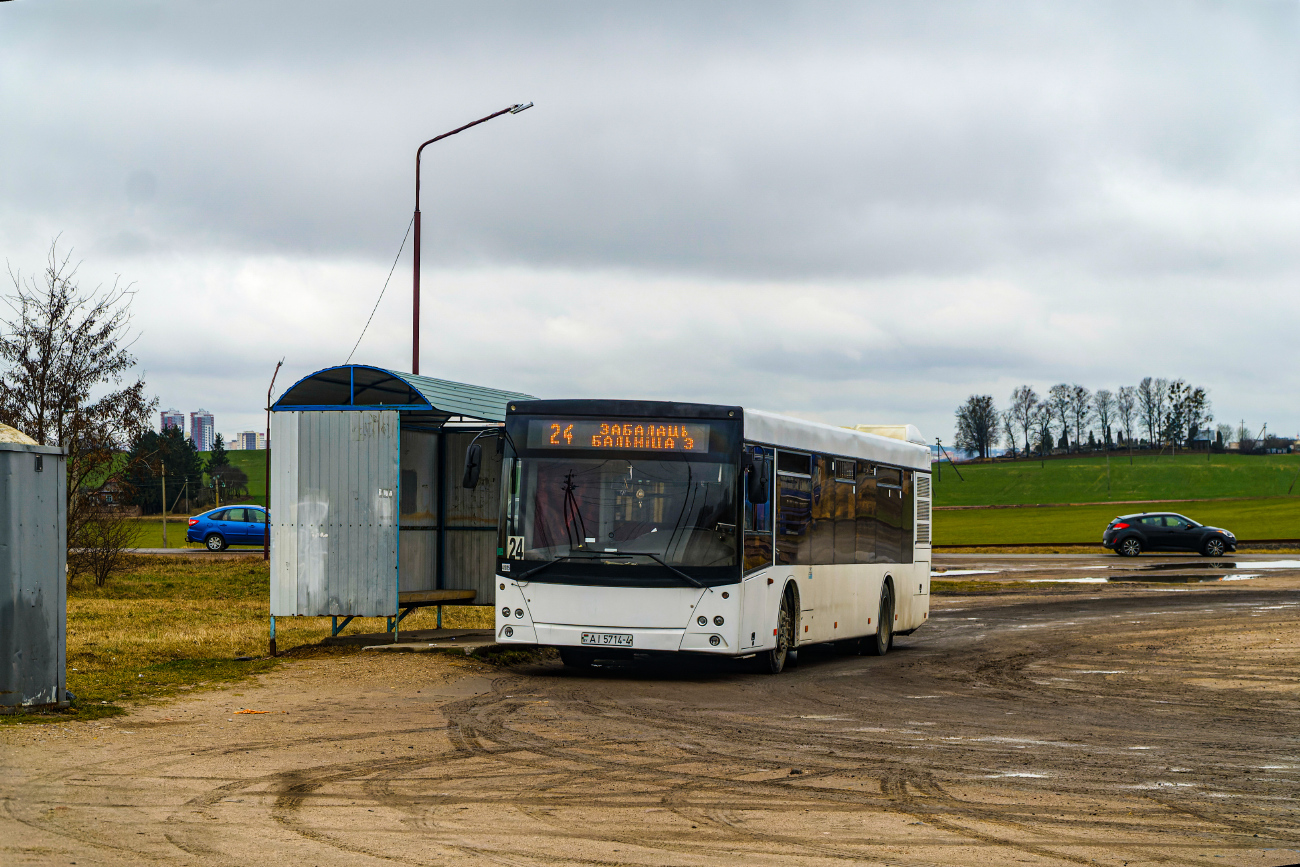 Grodna, MAZ-203.065 # 041815 — Photo — BUSPHOTO