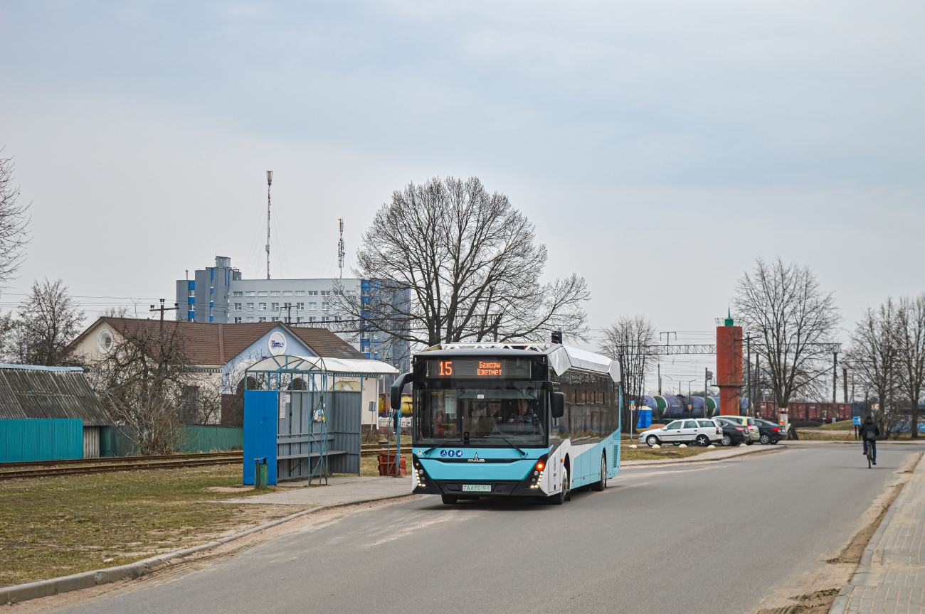 Zhodino, MAZ-303.E22 # 12372 — Photo — BUSPHOTO