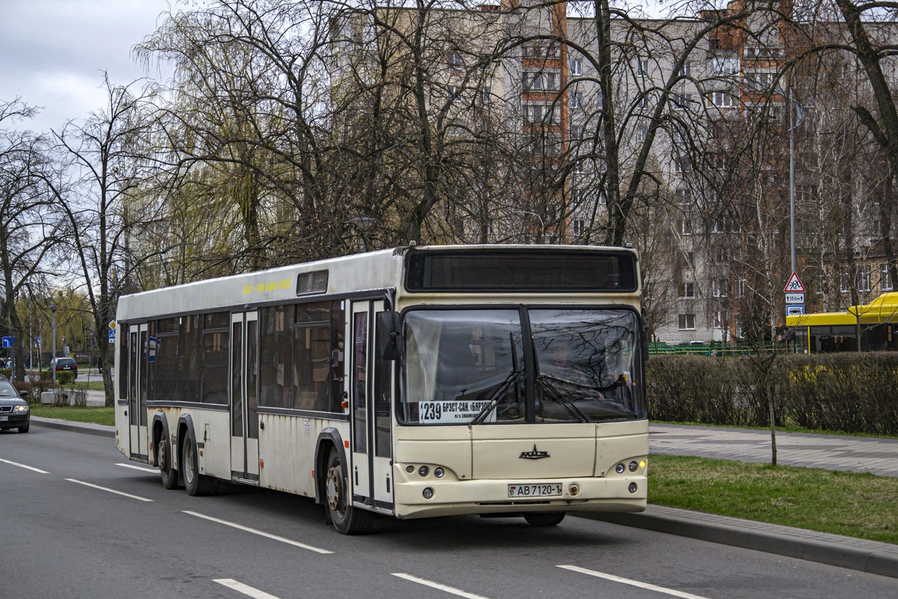 Brest, MAZ-107.466 # 579 — Photo — BUSPHOTO