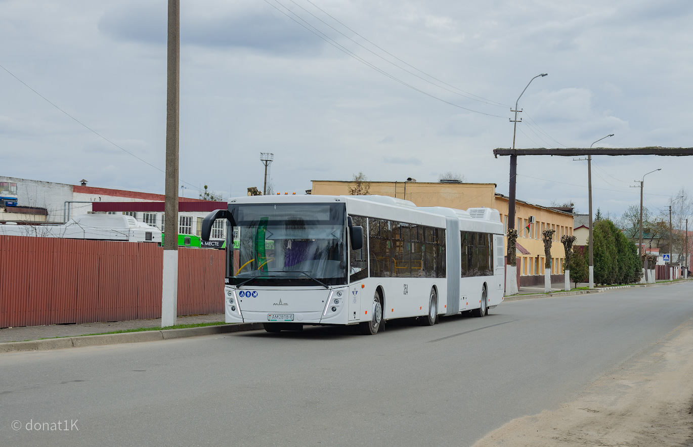 Bobruysk, MAZ-216.047 # 354 — Photo — BUSPHOTO