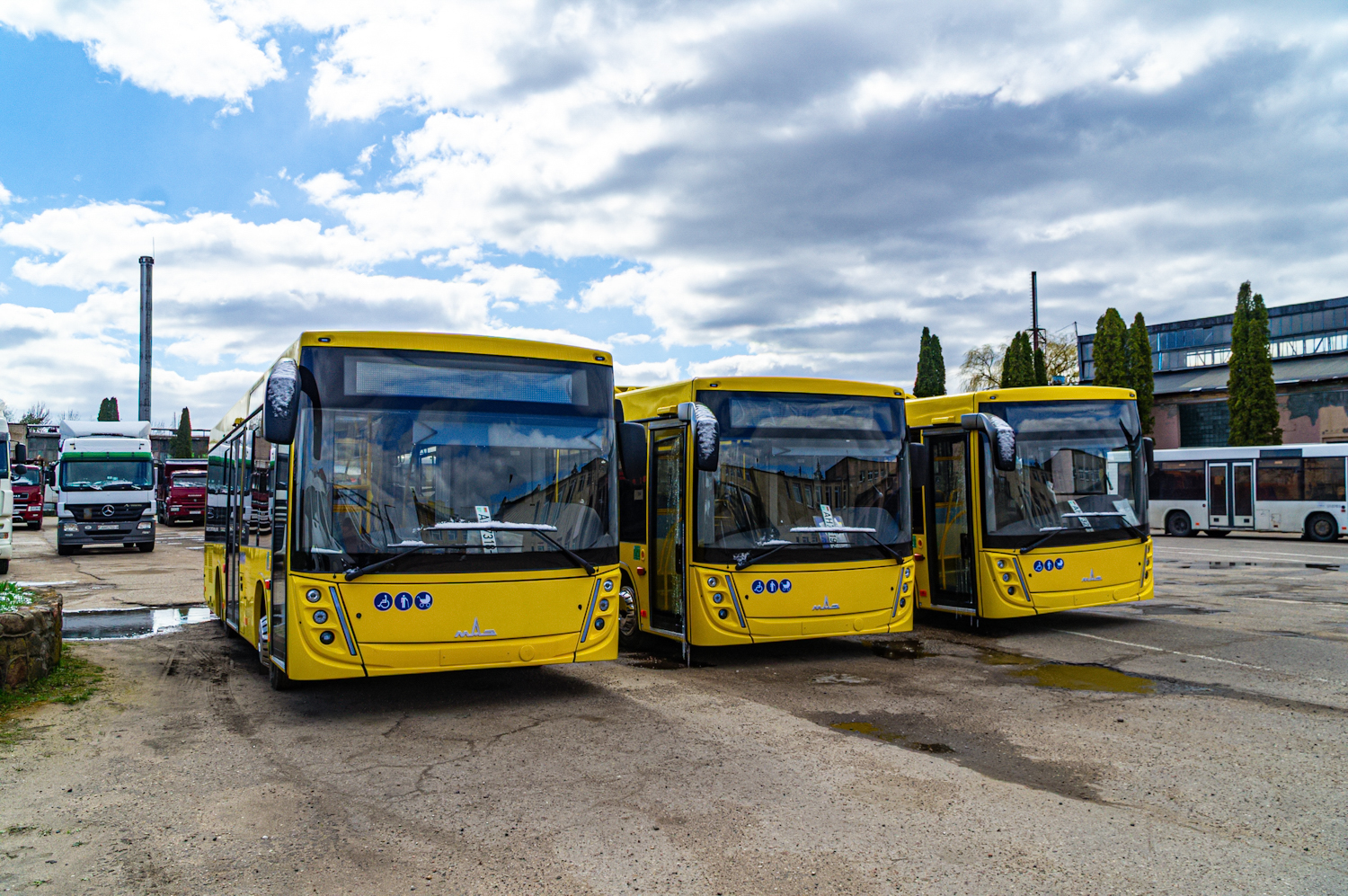 Skidel, MAZ-206.047 # 012020 — Photo — BUSPHOTO