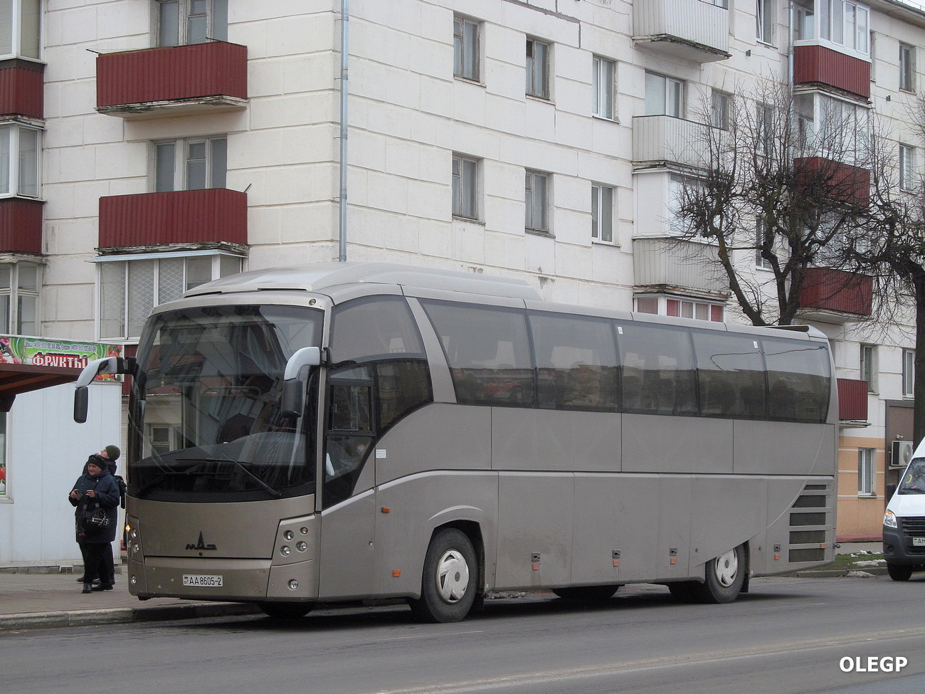 Vitebsk, MAZ-251.050 # АА 8605-2 — Photo — BUSPHOTO