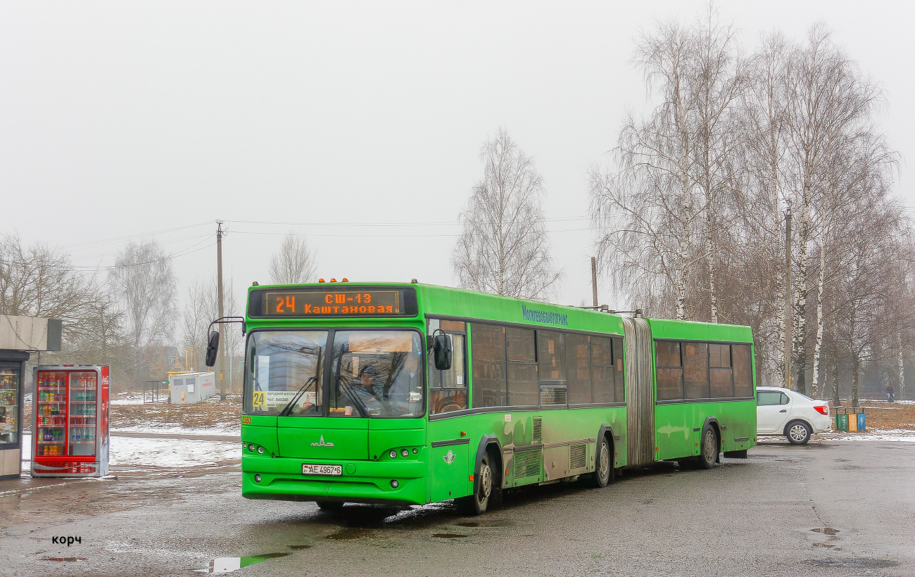 Mogilev, MAZ-105.465 # 2383 — Photo — BUSPHOTO