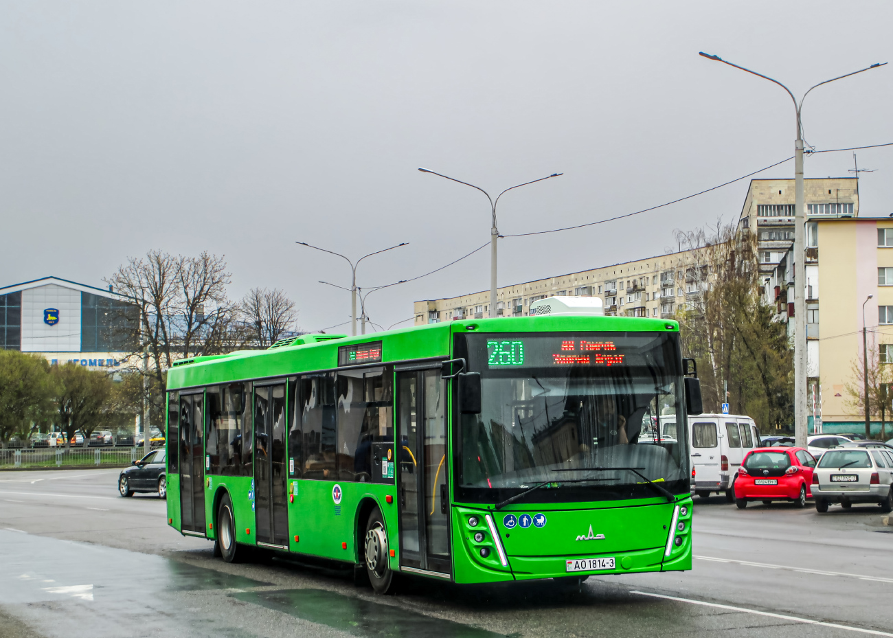 Gomel, MAZ-203.047 # 037389 — Photo — BUSPHOTO