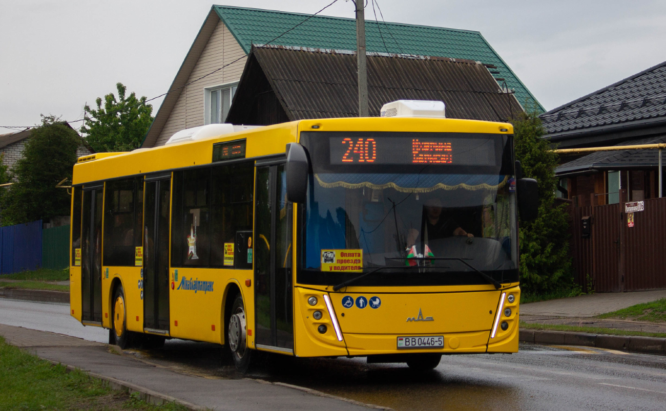 Borisov, MAZ-203.047 # ВВ 0446-5 — Photo — BUSPHOTO