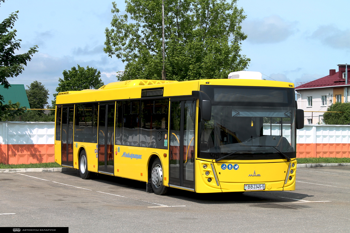 Molodechno, MAZ-203.047 # 23536 — Photo — BUSPHOTO