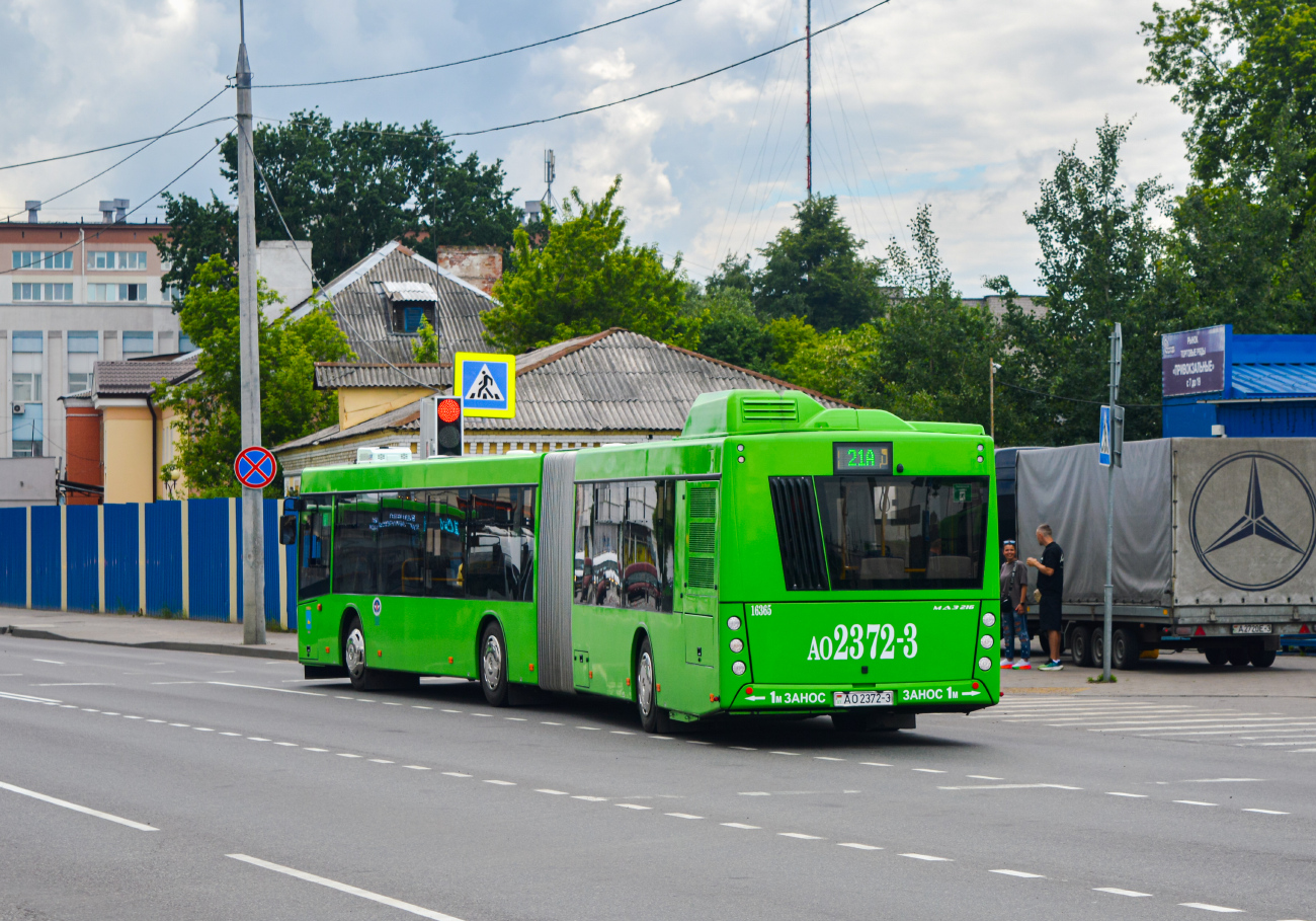 Gomel, MAZ-216.047 # 016365 — Photo — BUSPHOTO