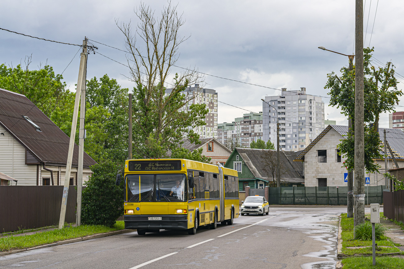 Minsk, MAZ-105.065 # 023388 — Photo — BUSPHOTO