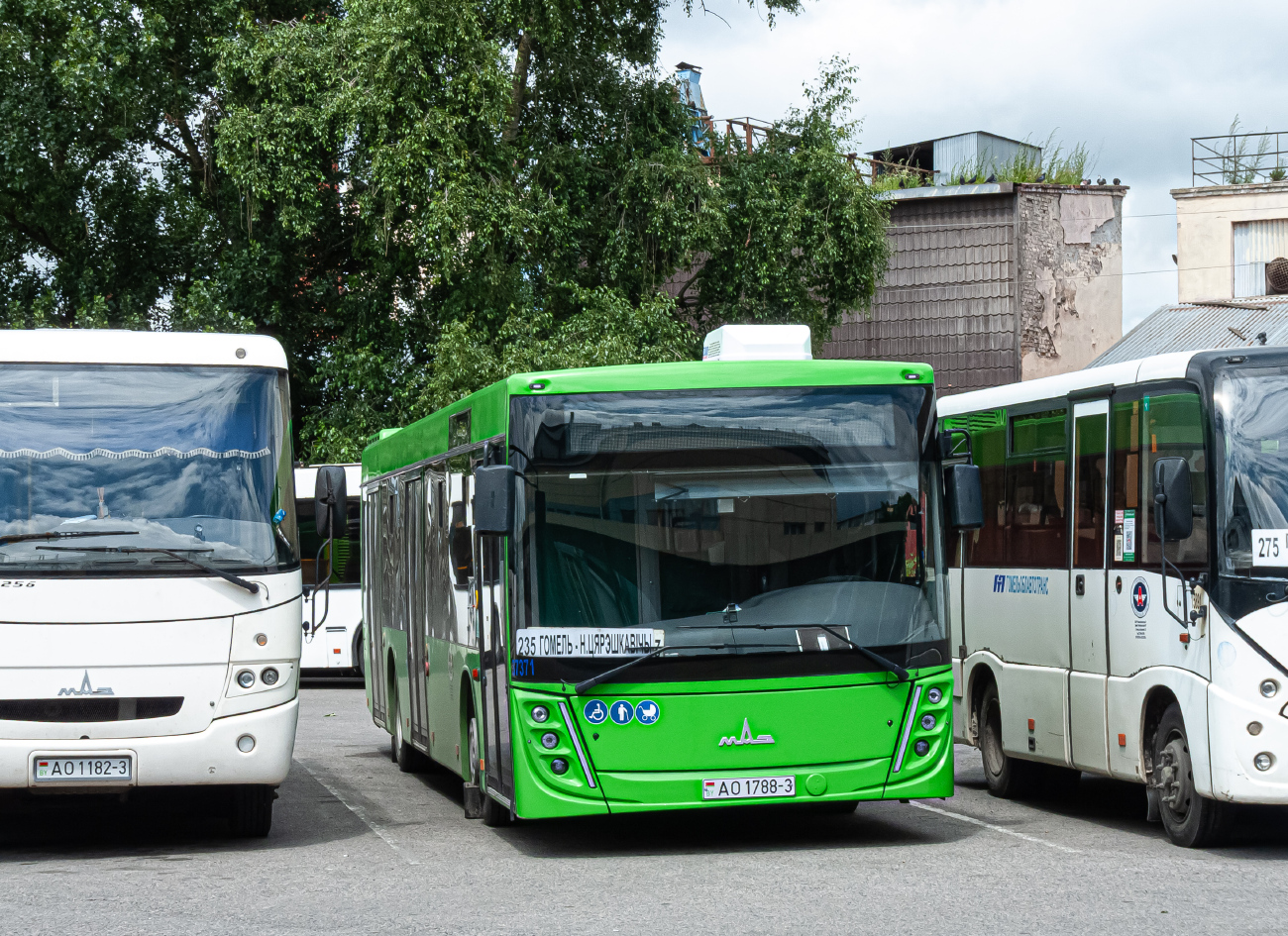 Gomel, MAZ-203.047 # 037371 — Photo — BUSPHOTO