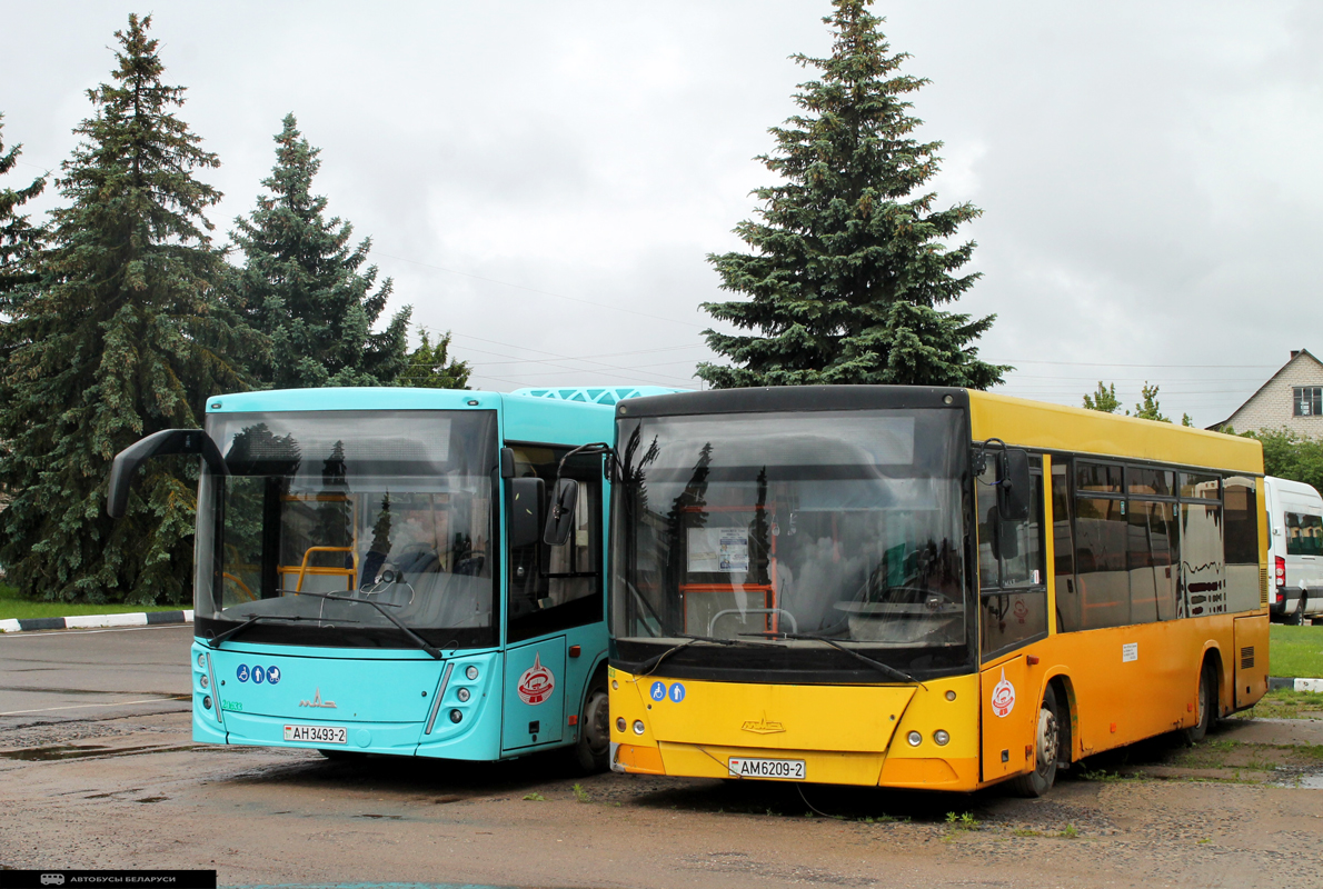 Braslav, MAZ-206.067 # 020623 — Photo — BUSPHOTO