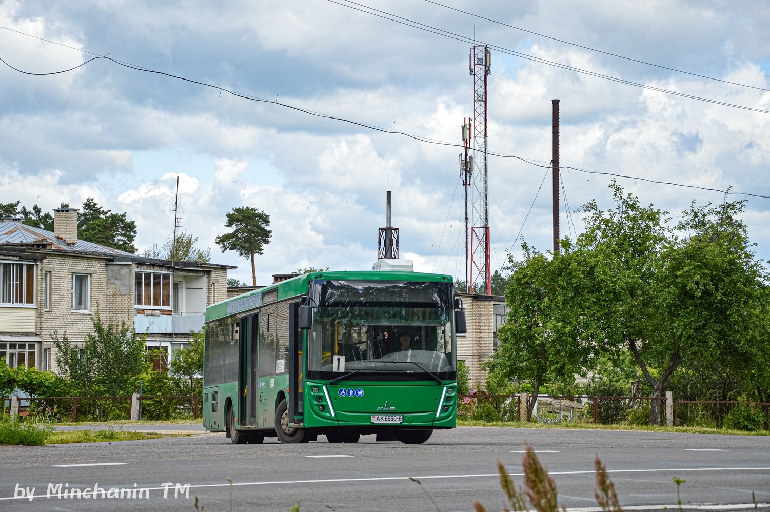 Osipovichi, MAZ-206.047 # 190027 — Photo — BUSPHOTO