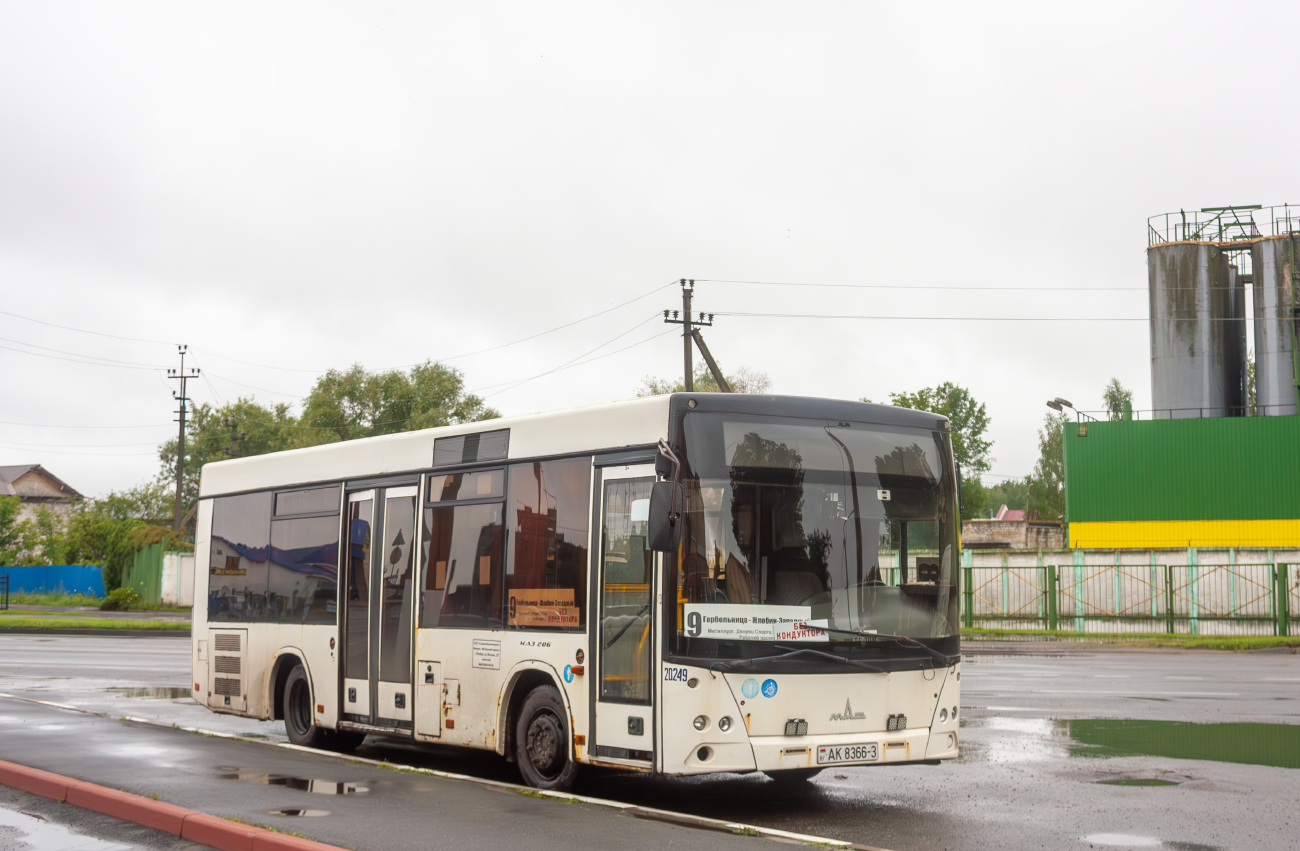 Zhlobin, MAZ-206.085 # 20249 — Photo — BUSPHOTO