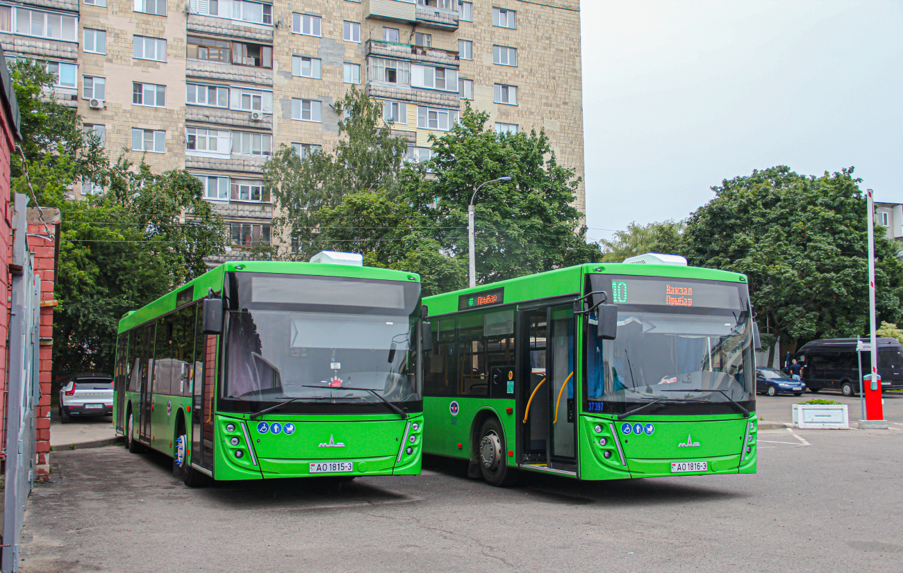 Gomel, MAZ-203.047 # 037397; Gomel, MAZ-203.047 # 016357 — Photo — BUSPHOTO