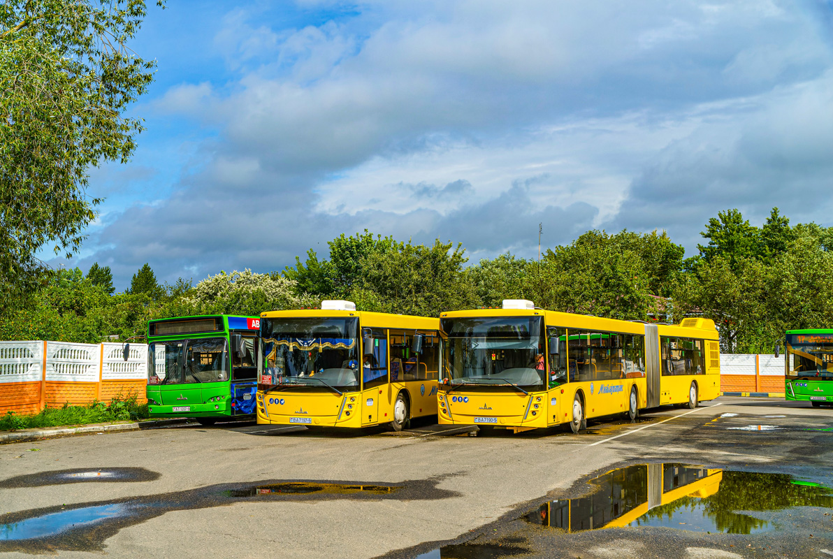 Molodechno, MAZ-216.047 # 21005 — Photo — BUSPHOTO