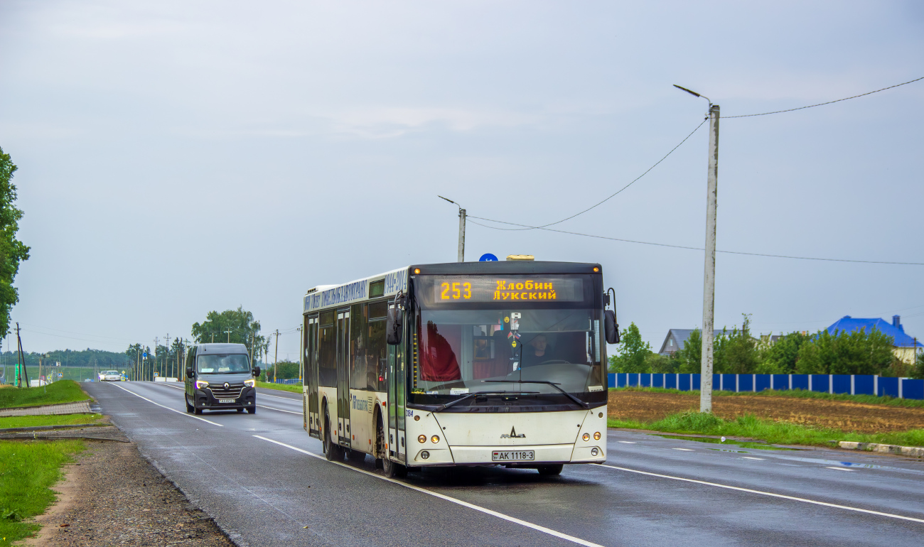 Zhlobin, MAZ-203.065 # 20184 — Photo — BUSPHOTO